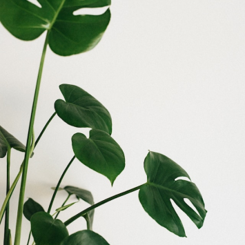 Bestselling Products - Smart Theme Tech Challenge